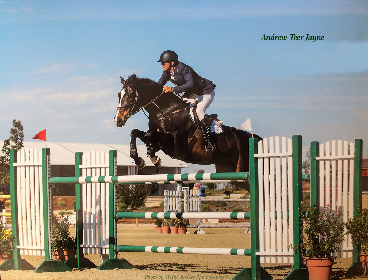 Andrew Jayne Show Jumper, Reno NV
